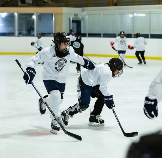 Ice Hockey Program | Hockey Diversity Alliance